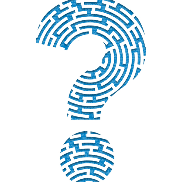 Professional Skepticism: A Model for Public Sector Auditing - INTOSAI ...